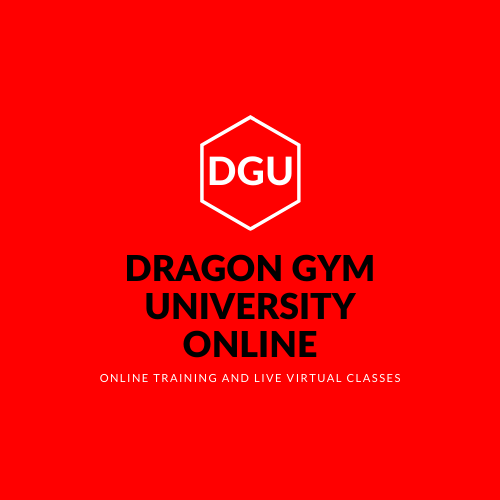 Online Training Modules and Live Virtual Kids Martial Arts | Dragon Gym ...